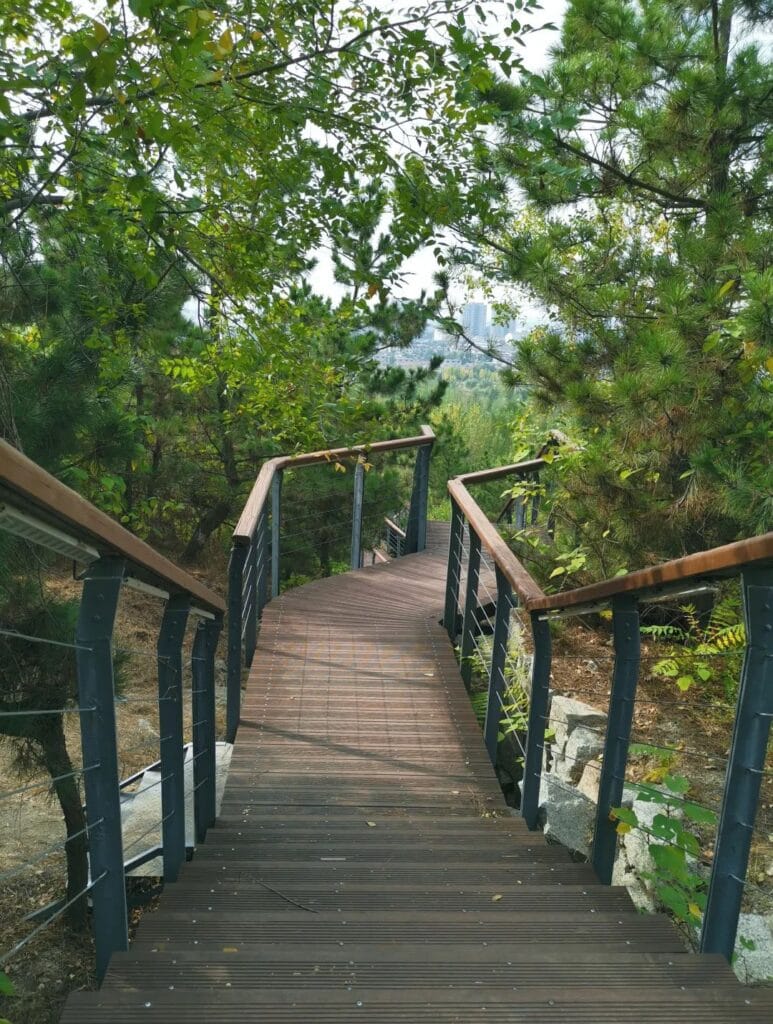 Zoucheng Hujia Mountain Park - ZHUART Bamboo